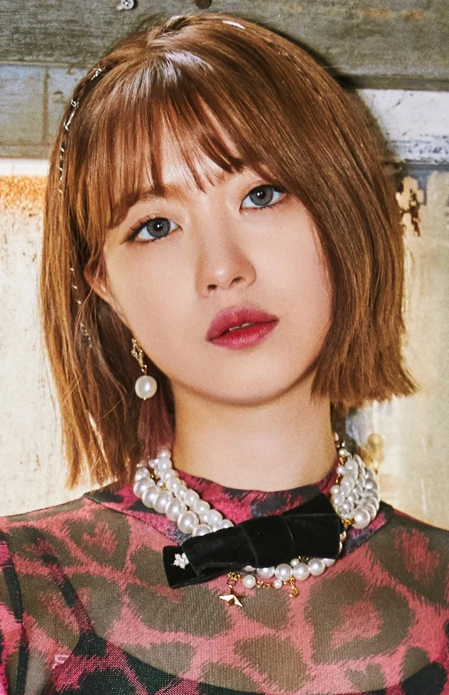 Shinyoung (G-reyish) profile, age & facts (2026 updated) | kpopping